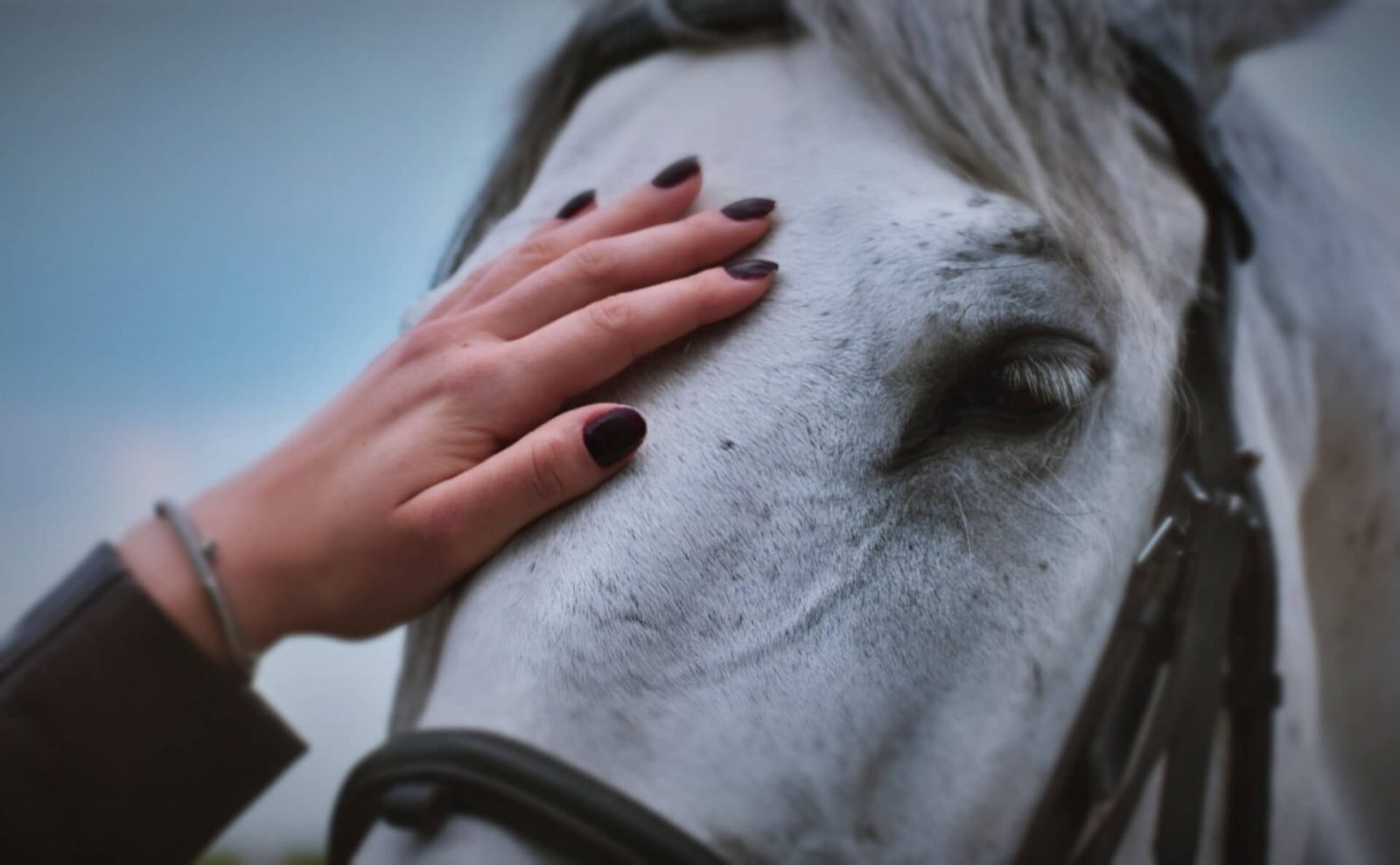 Grief: Dealing with the emotions that come with loss